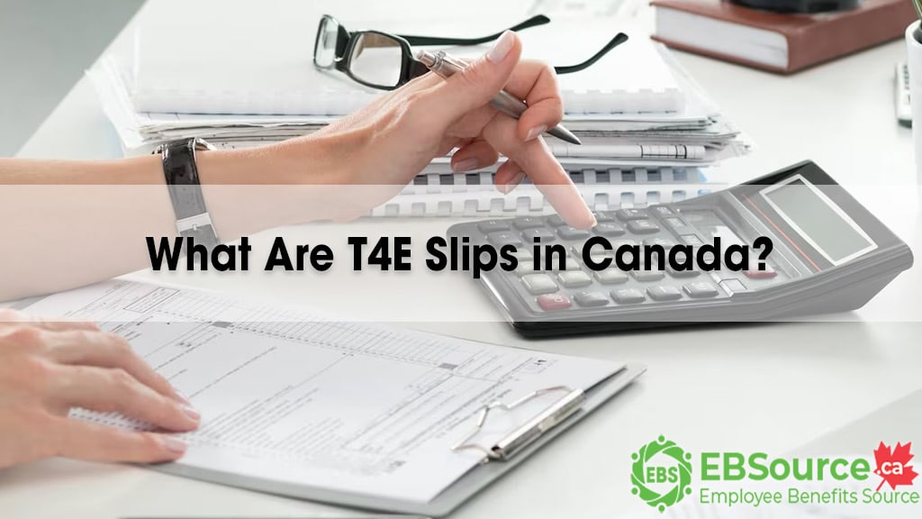 T4E Slips in Canada: Demystifying Your Statement of EI Benefits